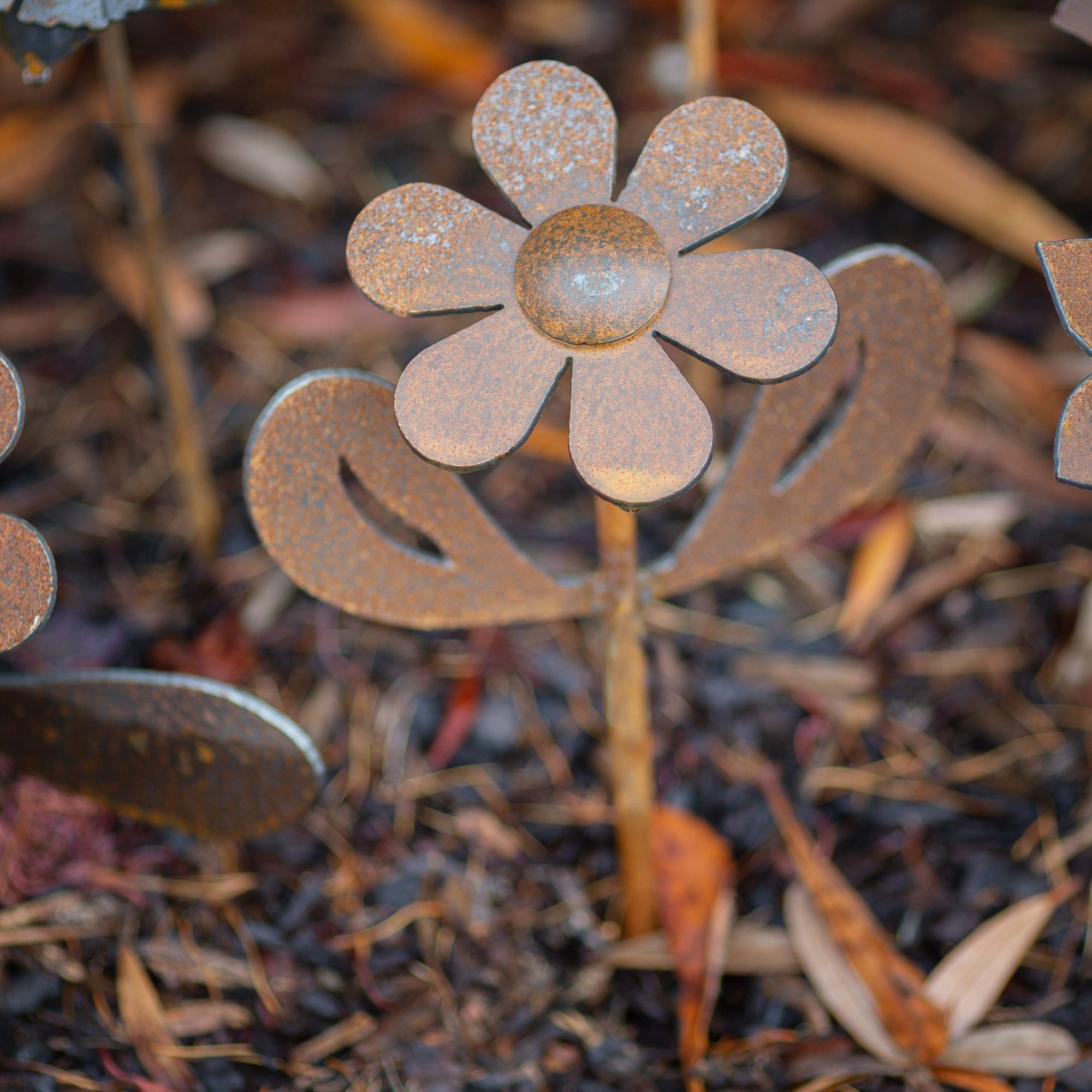 Metal Daisy Flower Garden Art Sculpture | Gravelly Beach Metalworks