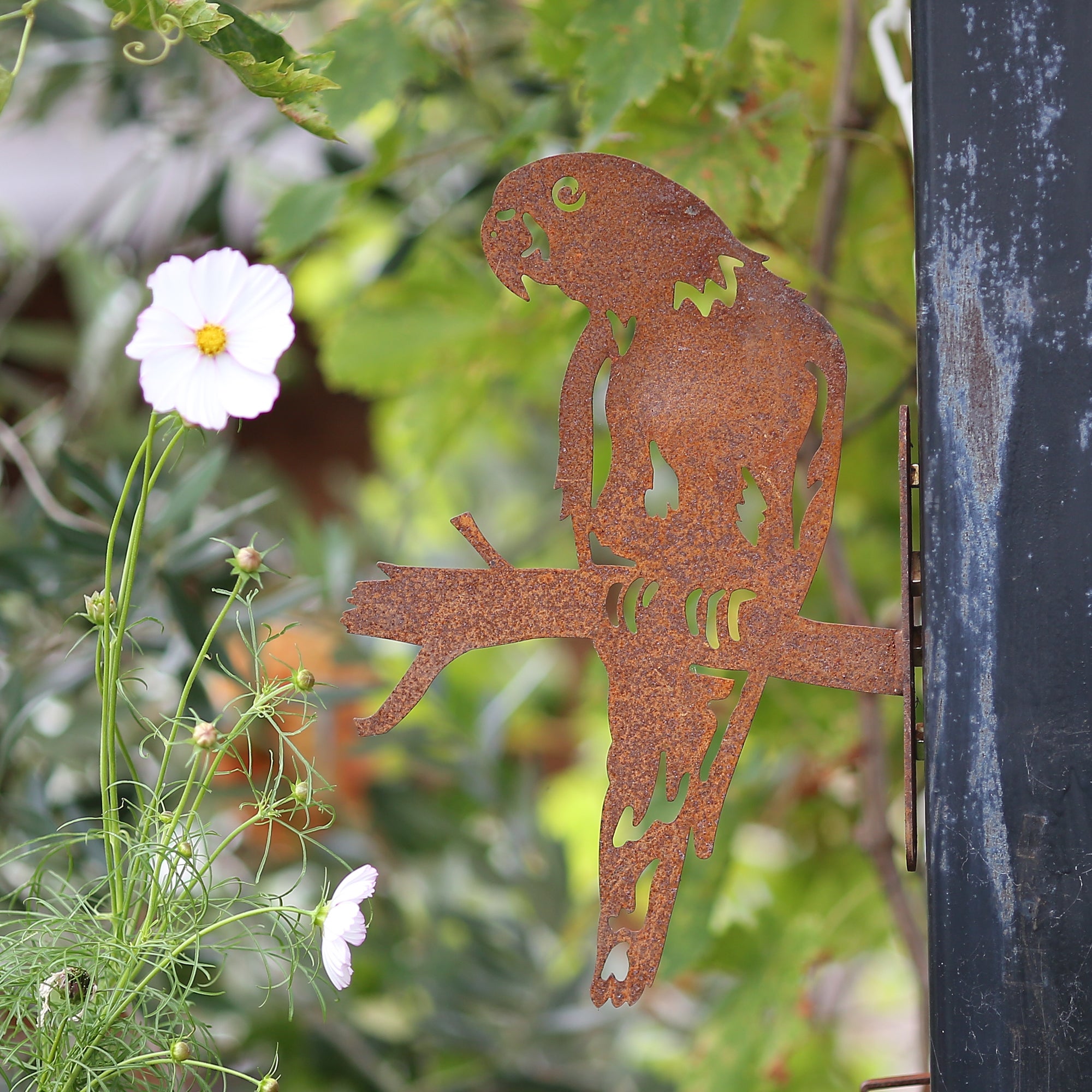 Petey Parrot | Gravelly Beach Metalworks