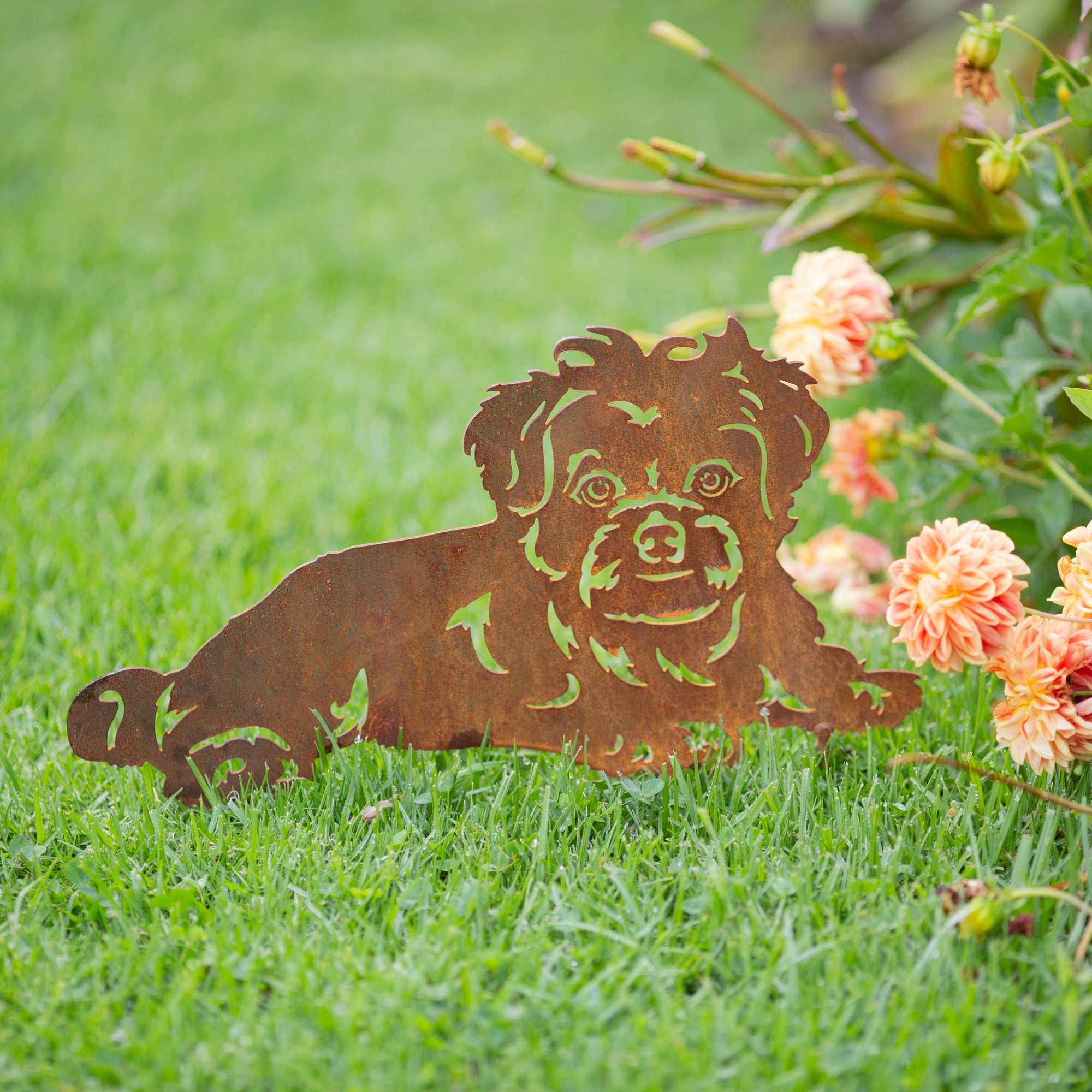 Cindy the Maltese | Gravelly Beach Metalworks