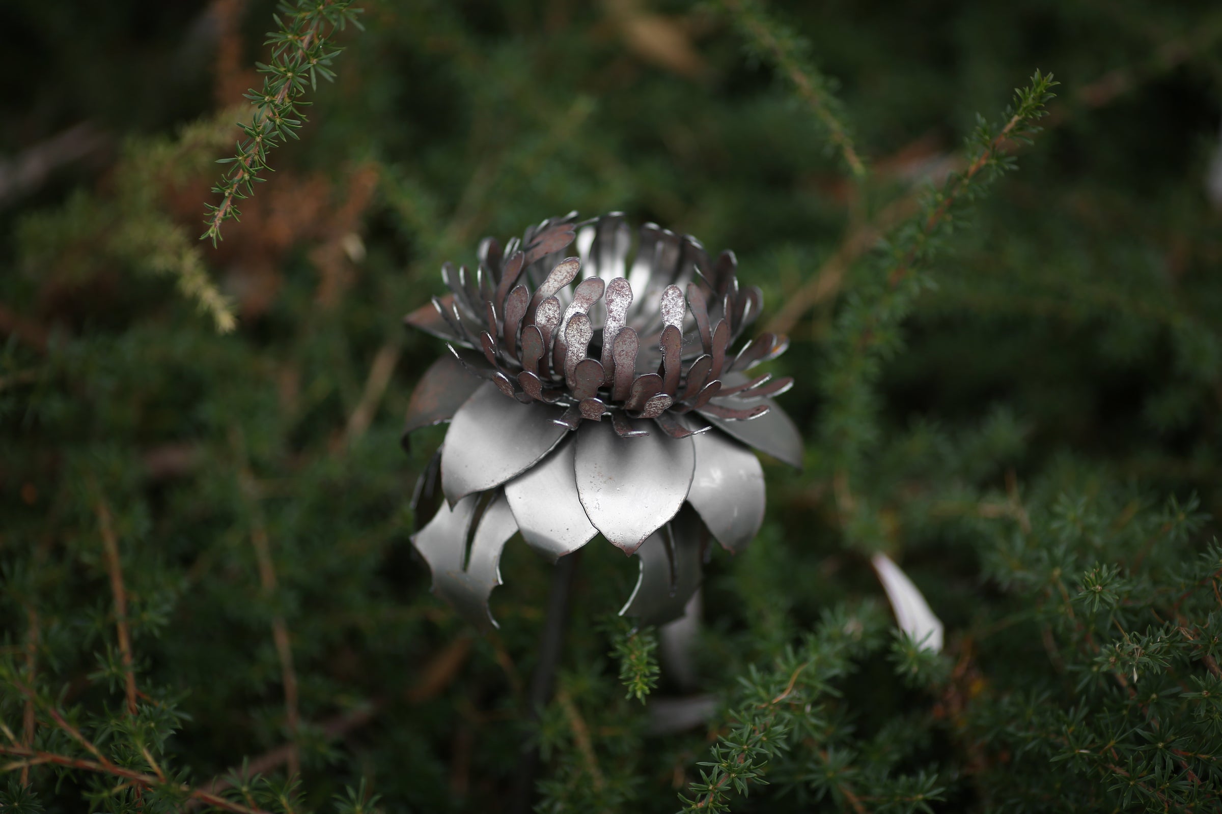 Rusty Rose DIY kits and other kits to get creative at home | Gravelly ...