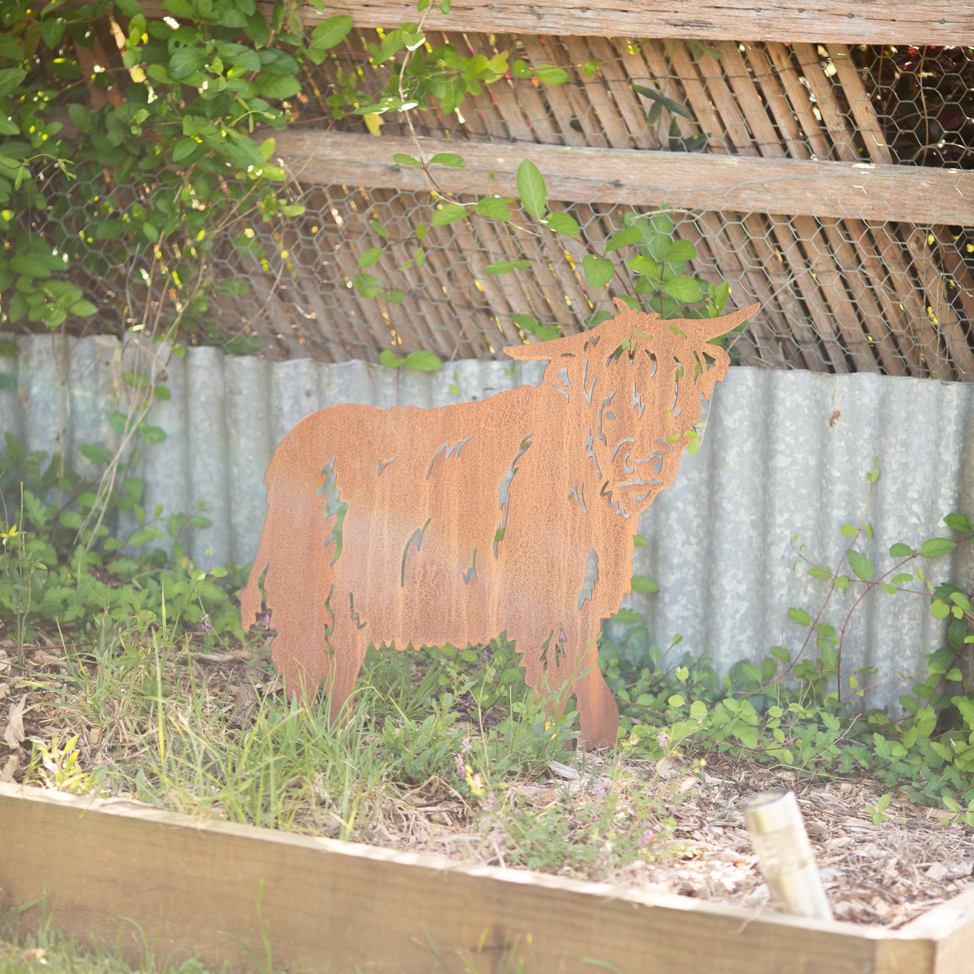 Highland Cow - Barry | Gravelly Beach Metalworks