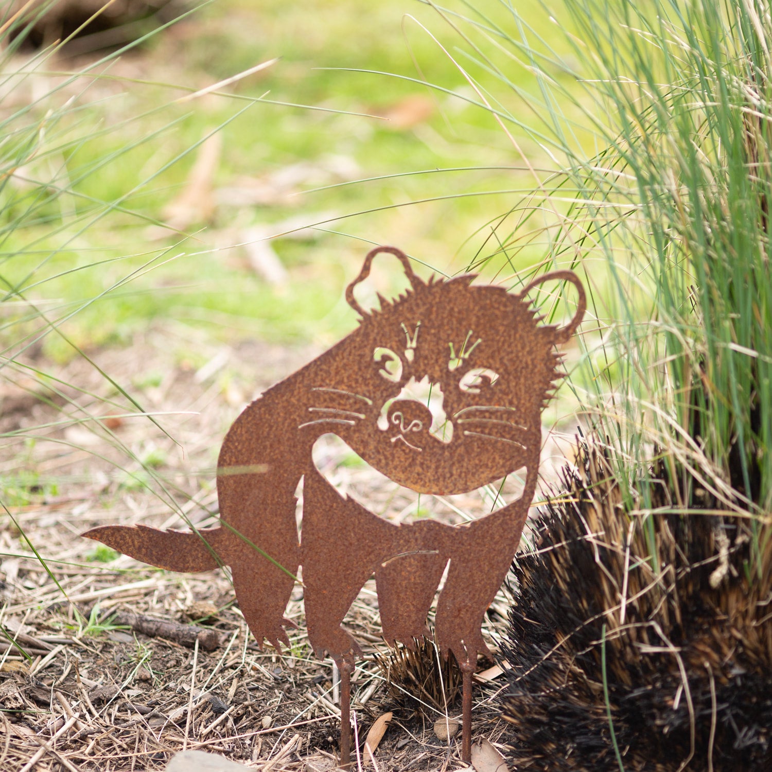 Tasmanian Devil Cub Australian Animals Wildlife Garden Sculpture ...