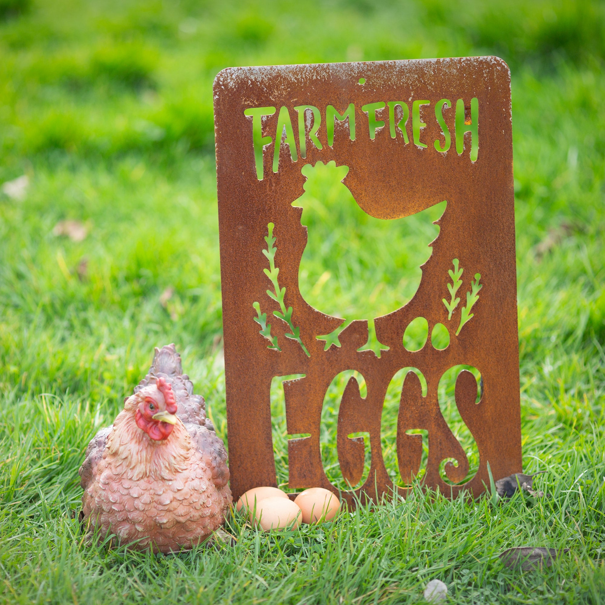 outdoor wall art rusty chicken signs quirky and funny | Gravelly Beach ...