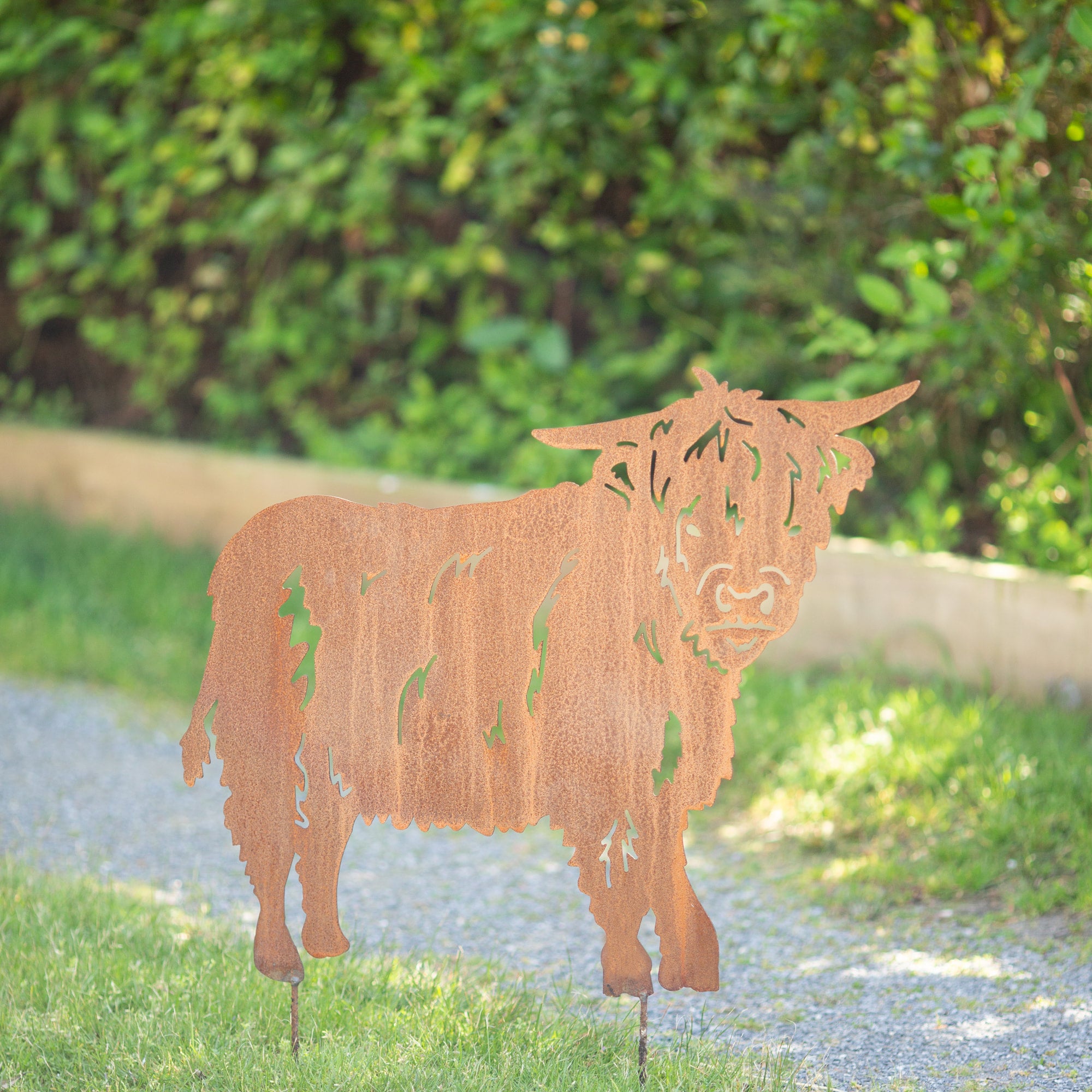 Highland Cow - Barry | Gravelly Beach Metalworks