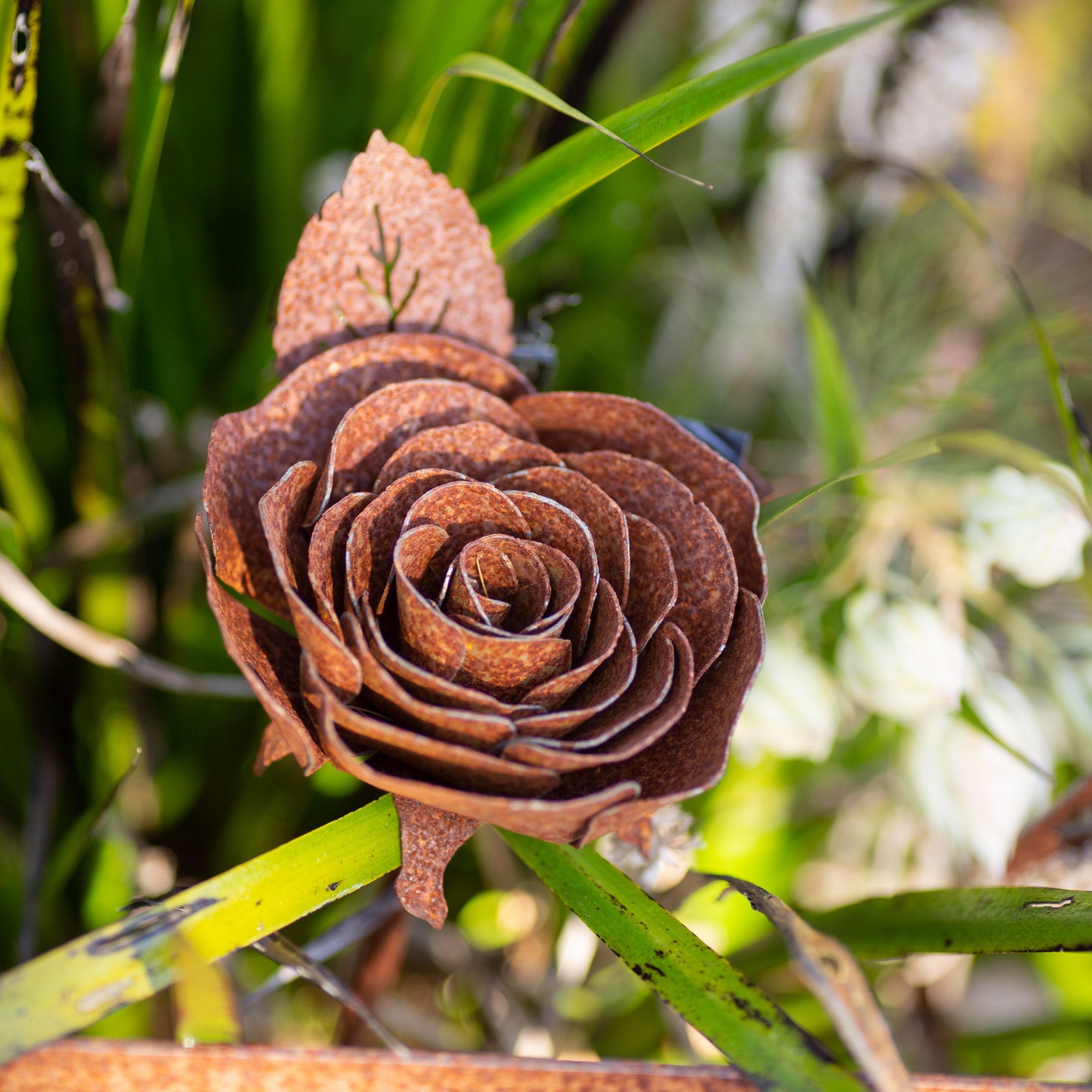 Rusty Rose DIY kits and other kits to get creative at home | Gravelly ...