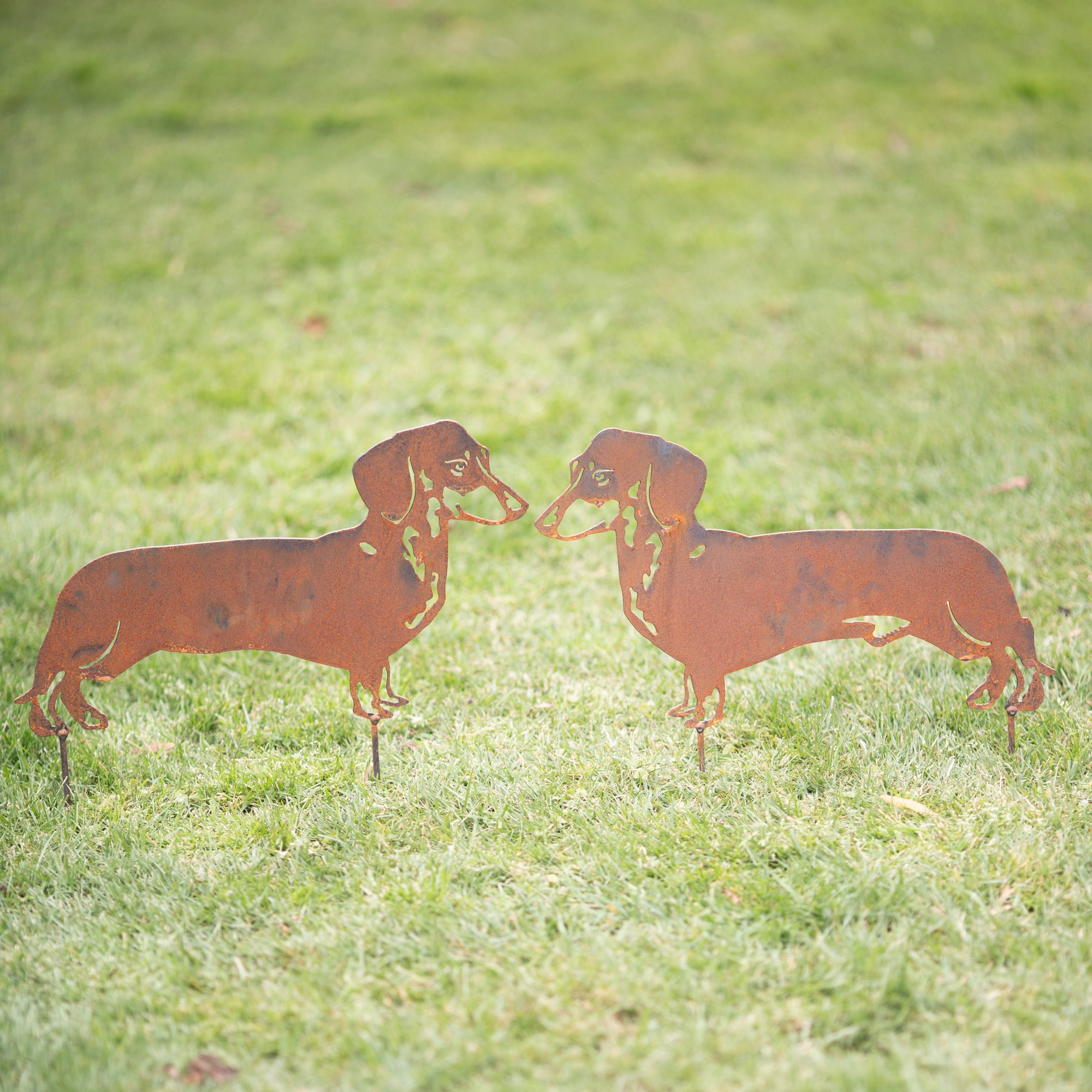 Daschund Sausage Dog Puppy Pet Memorial Garden Sculpture | Corten Steel ...