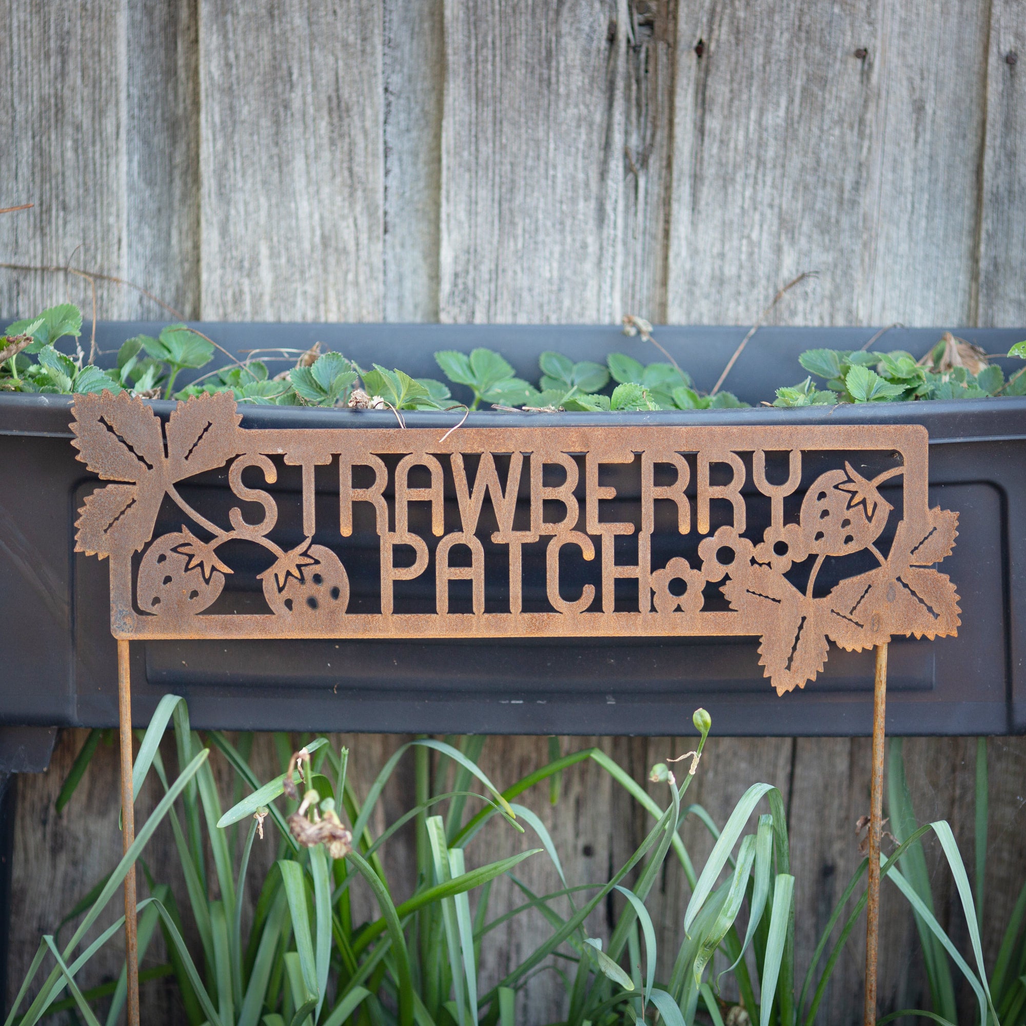Strawberry Patch Signs | Gravelly Beach Metalworks