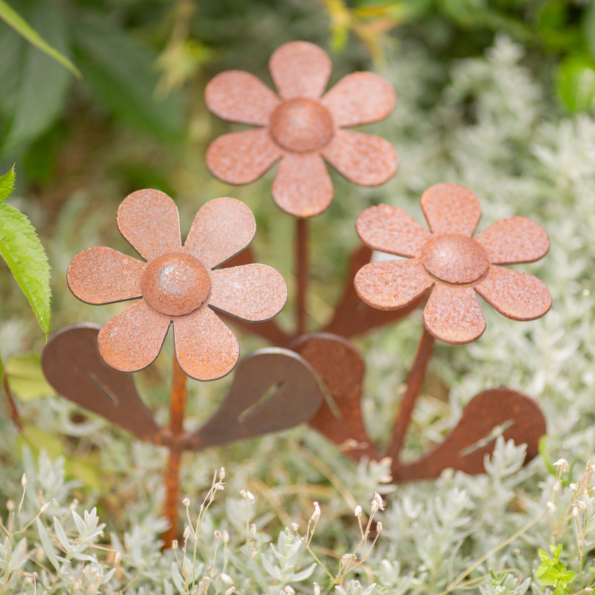 Metal Daisy Flower Garden Art Sculpture | Gravelly Beach Metalworks