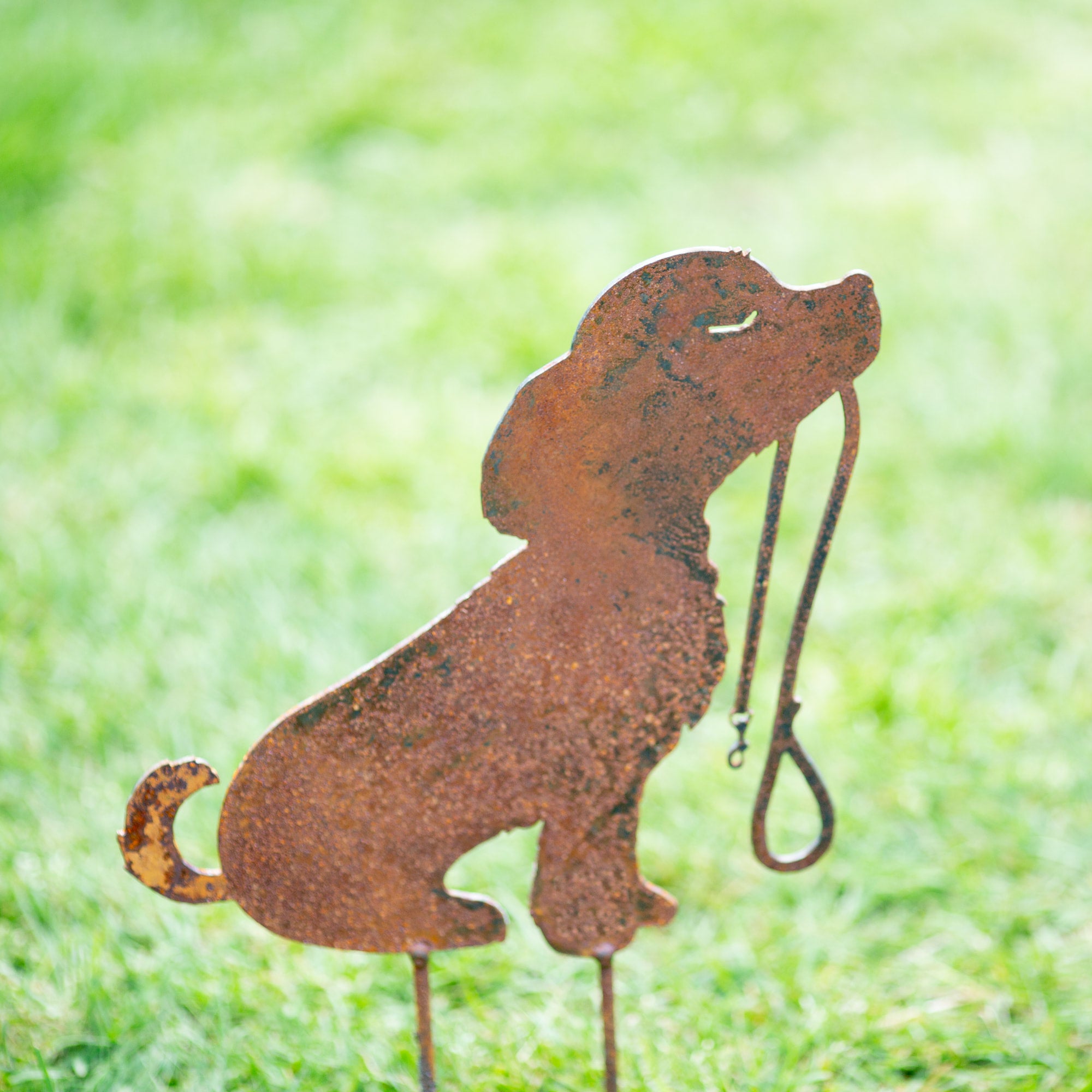 Puppy with Leash Rusty Metal Garden Sculpture | Gravelly Beach Metalworks