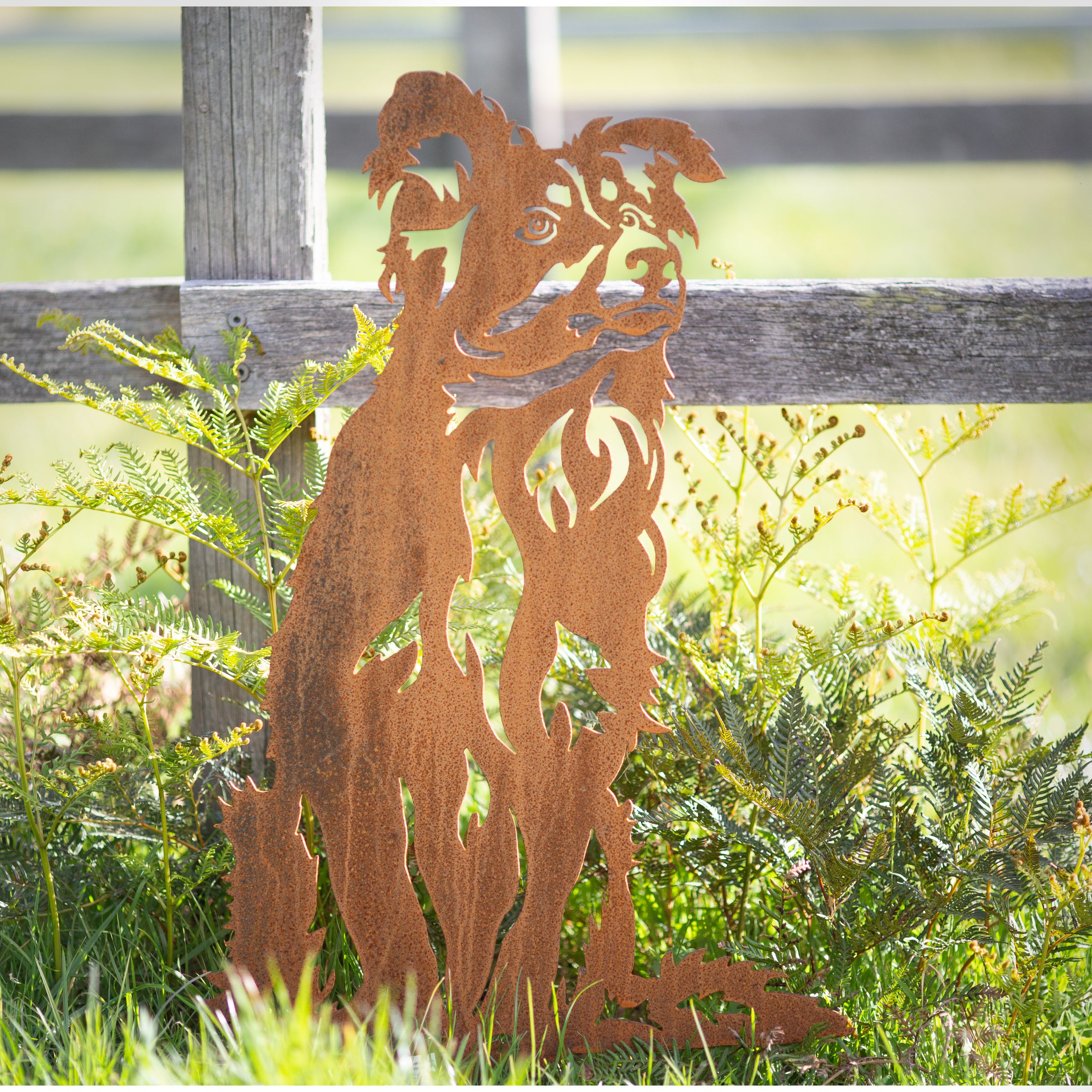 Brandy the Border Collie | Gravelly Beach Metalworks