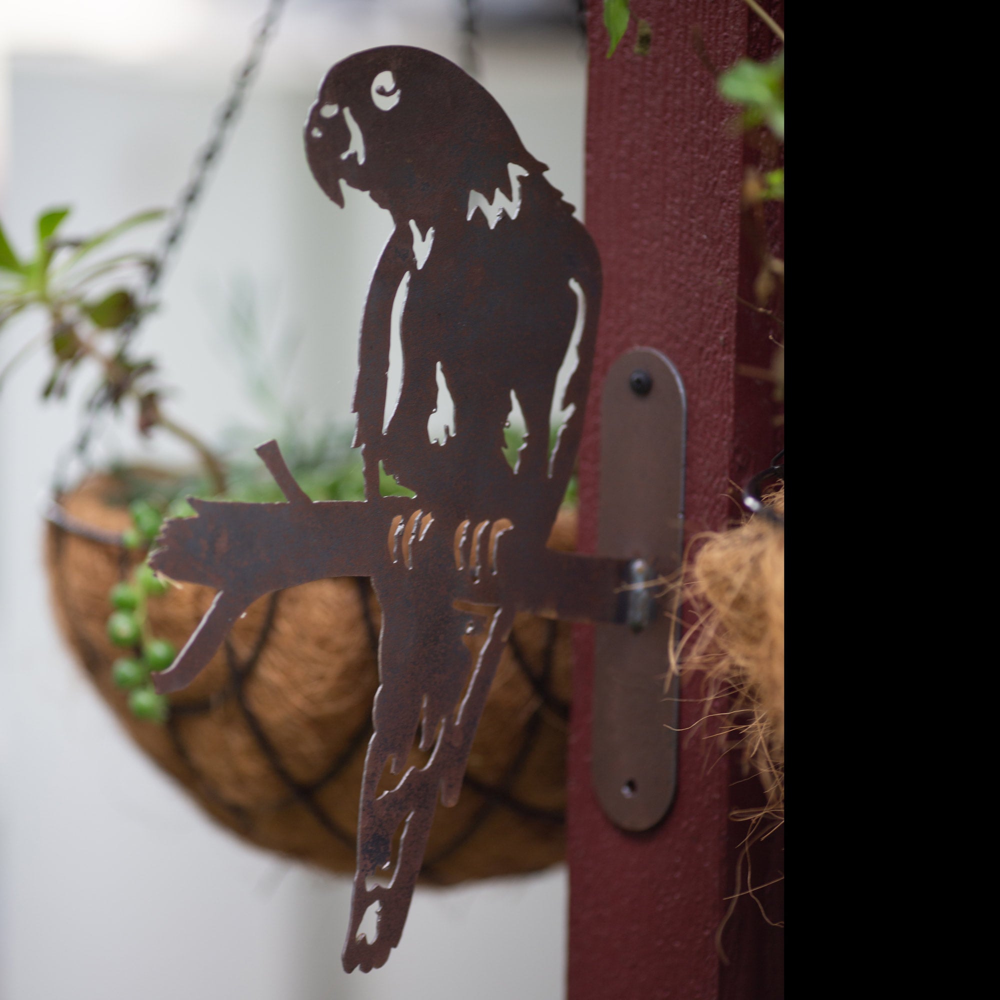 Petey Parrot | Gravelly Beach Metalworks