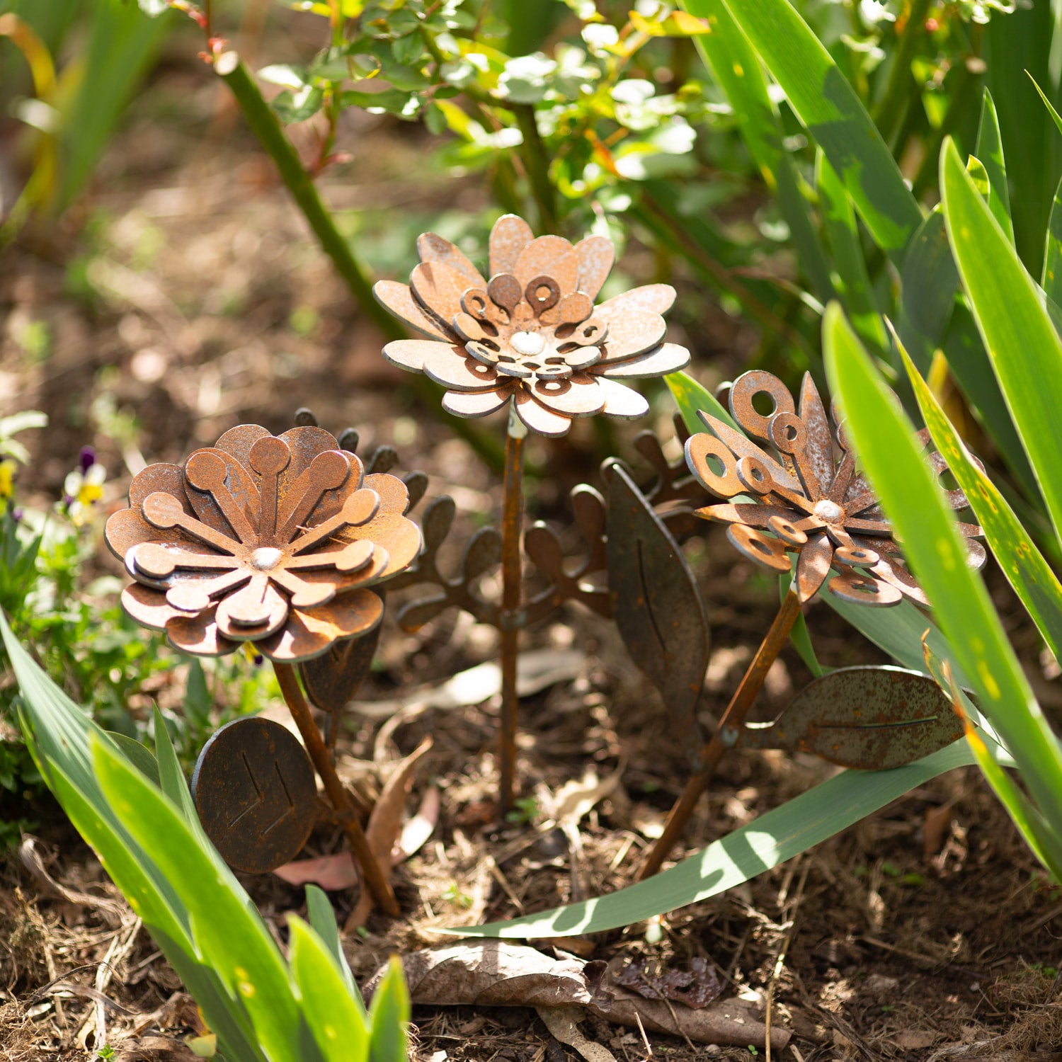 Rusty Garden Flowers, Metal Flower, Metal Garden | Gravelly Beach ...
