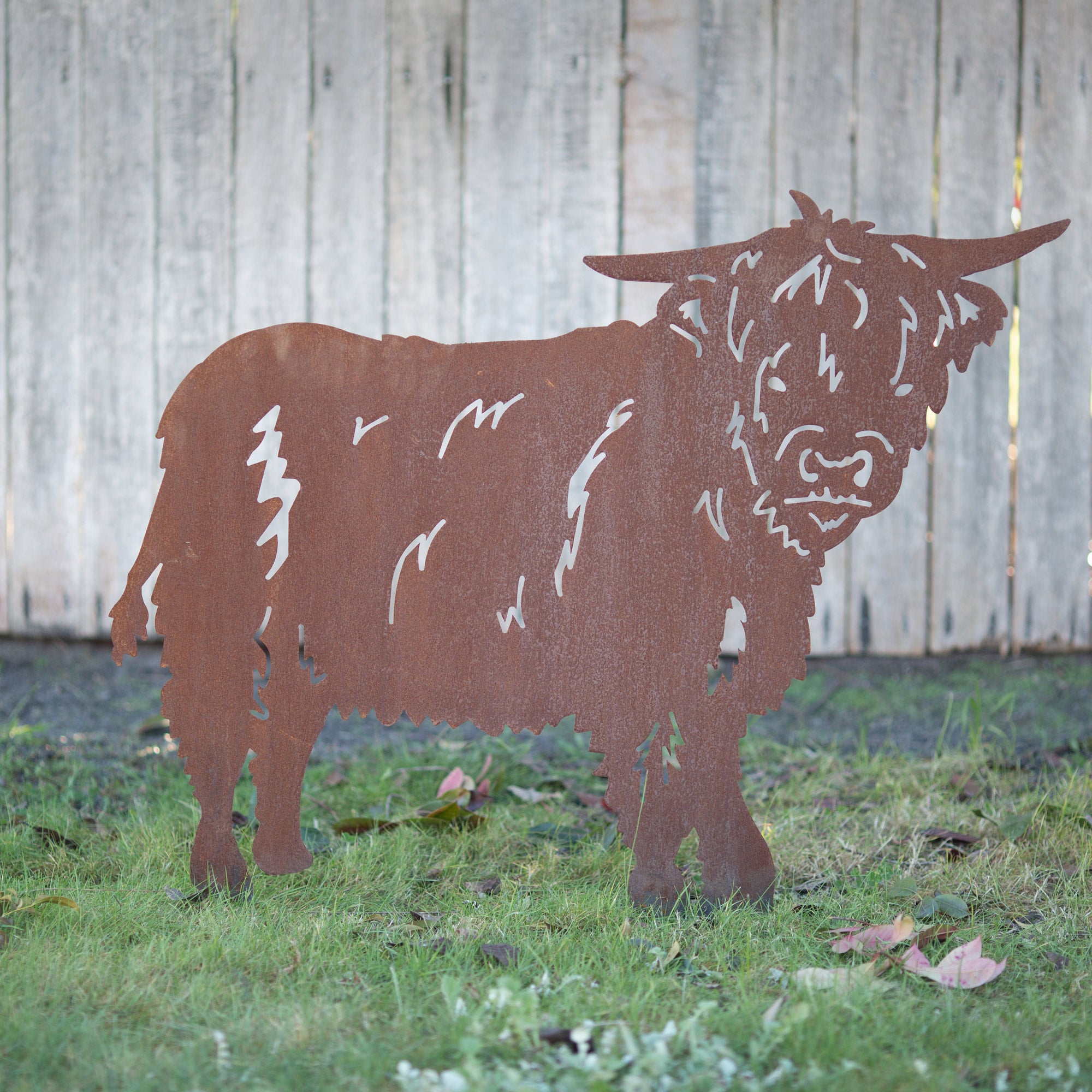 Highland Cow - Barry | Gravelly Beach Metalworks