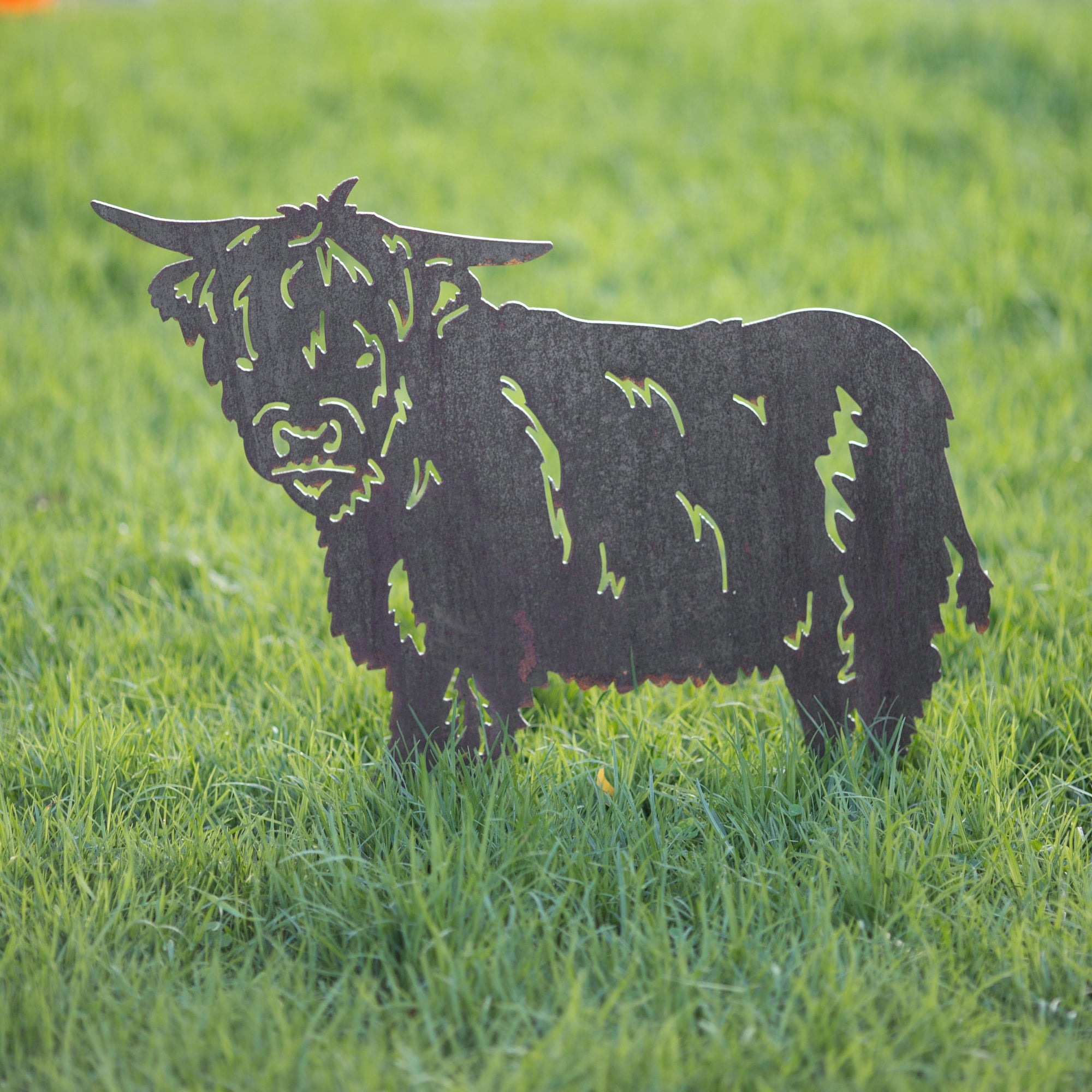 Highland Cow - Barry | Gravelly Beach Metalworks